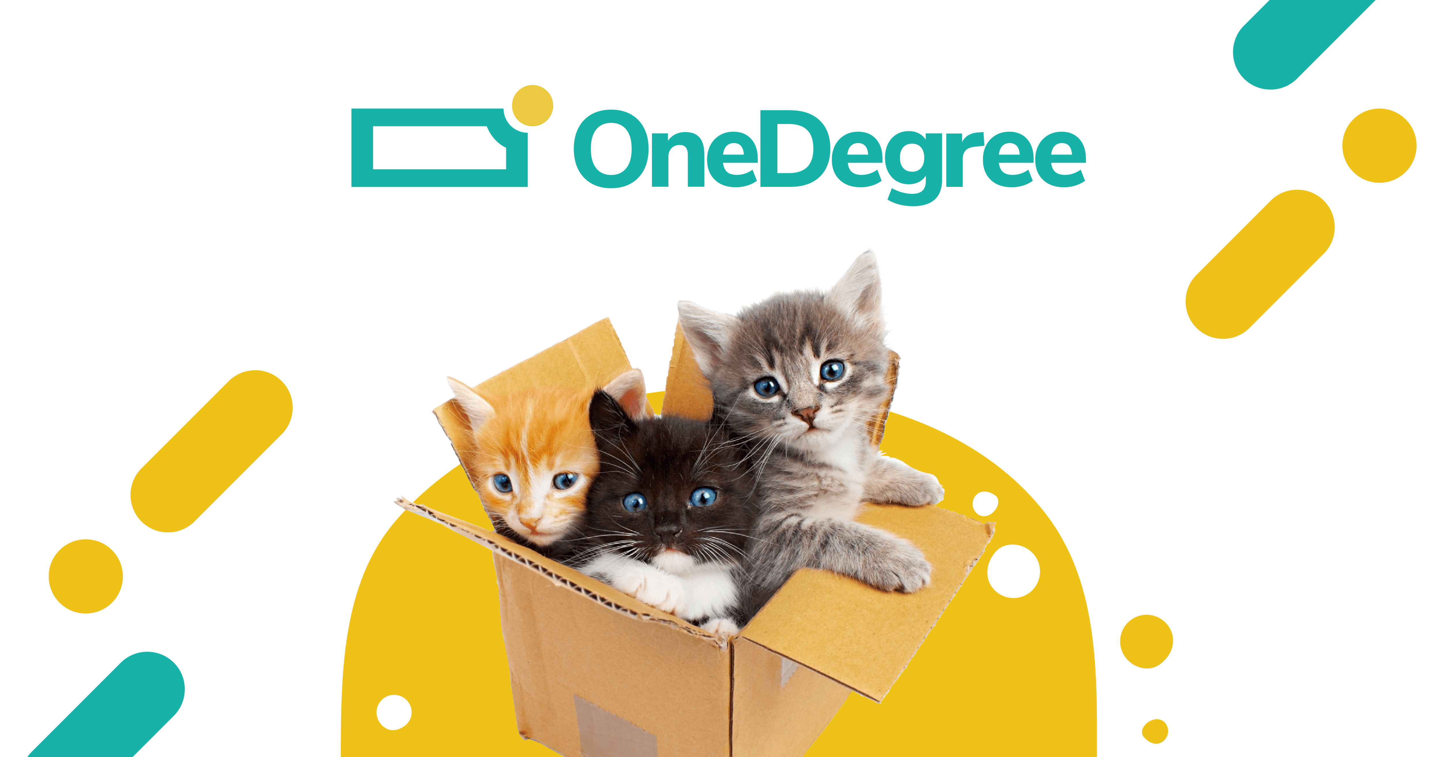 Fire Insurance | Best Price Guaranteed | OneDegree