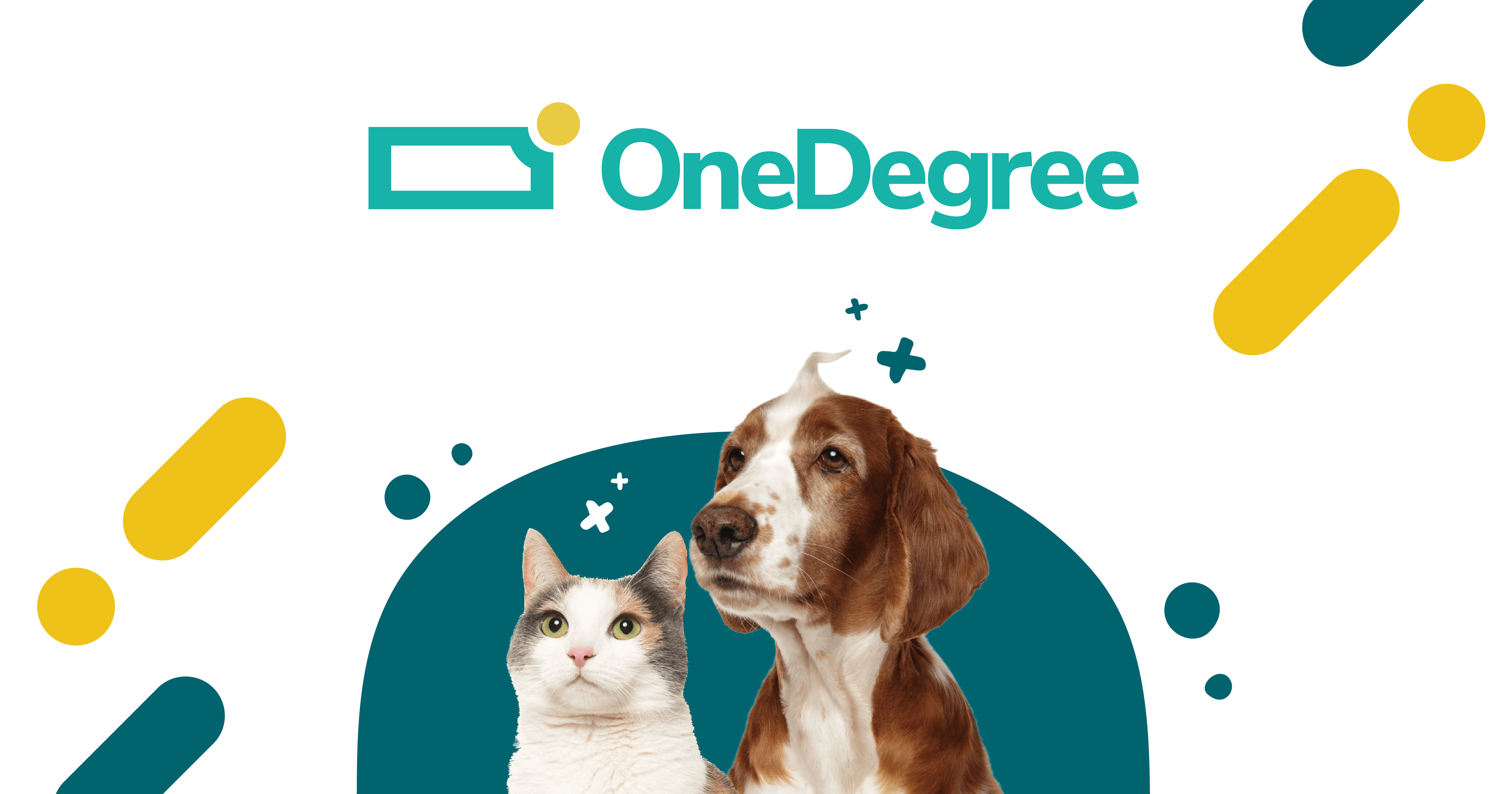 香港寵物保險的最佳選擇 毛價保 OneDegree