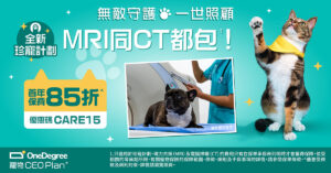 寵物照CT | 用途/價錢一文解清！與X光/超聲波/MRI有什麼分別？